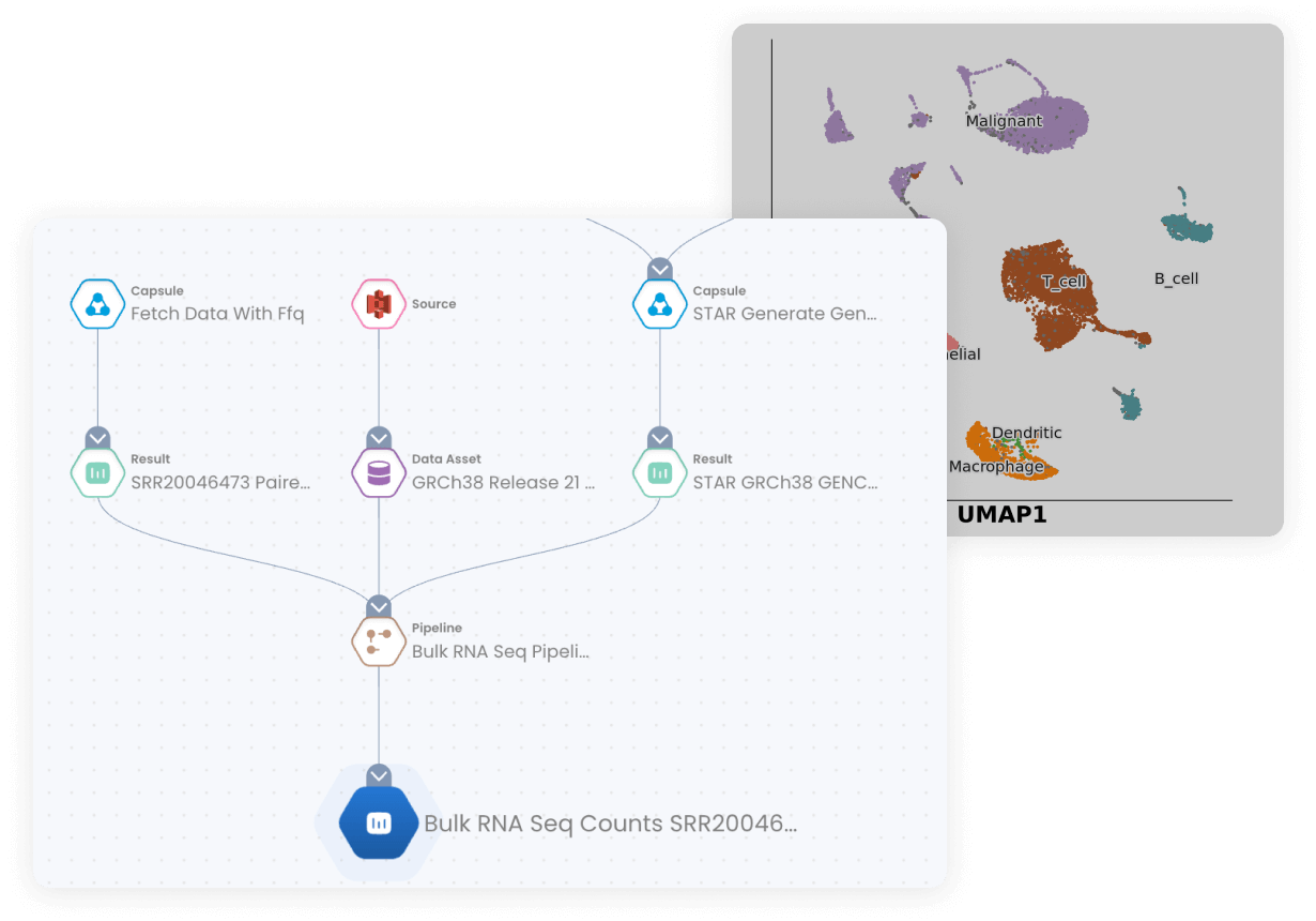 Computational science software for biology | Code Ocean