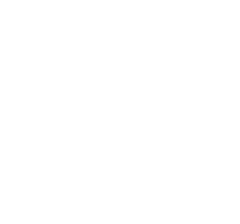 Solutions for Computational Scientists | Code Ocean