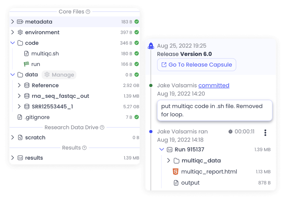 Compute Capsules | Code Ocean