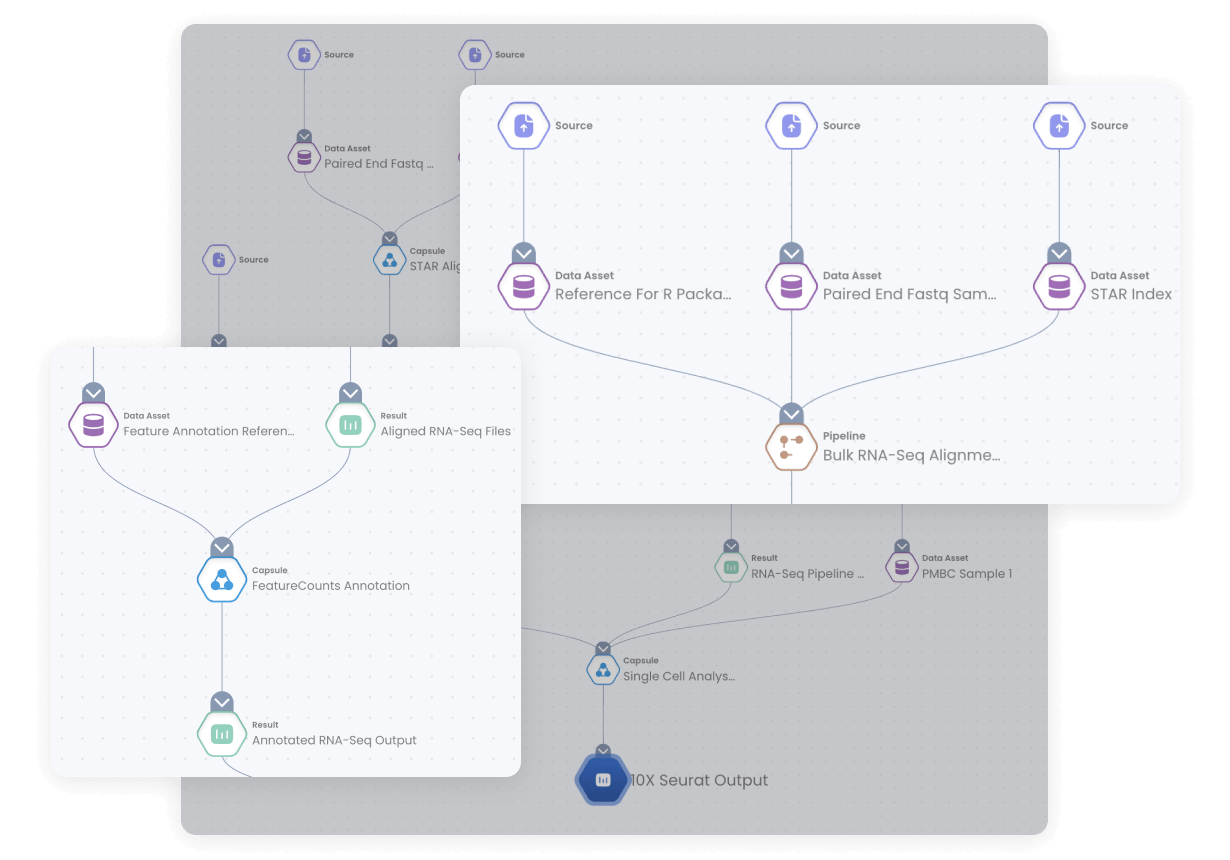 Lineage Graph | Code Ocean